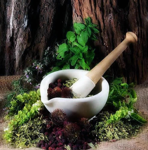 What Is A Naturopath - Naturopathy